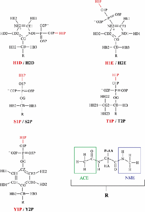 AMBER force-field parameters for phosphorylated amino acids in ...