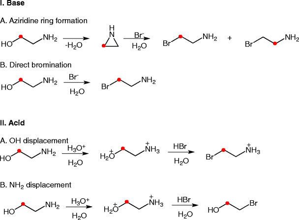 Selectivity of labeled bromoethylamine for protein alkylation ...