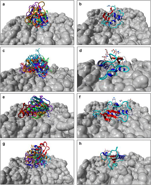 Protein modeling and molecular dynamics simulation of the two novel ...