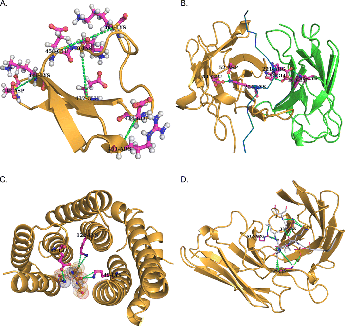 Salt-bridge networks within globular and disordered proteins ...