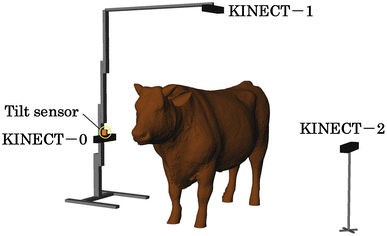 Black cattle body shape and temperature measurement using thermography ...
