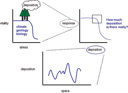 Ecological Thresholds: The Key to Successful Environmental Management ...