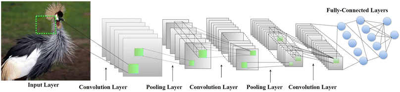 A multi-biometric iris recognition system based on a deep learning approach | SpringerLink