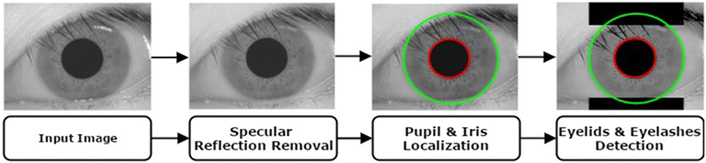 A multi-biometric iris recognition system based on a deep learning ...