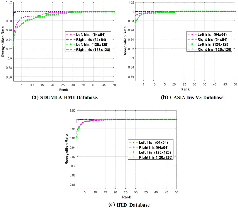 A multi-biometric iris recognition system based on a deep learning approach | SpringerLink