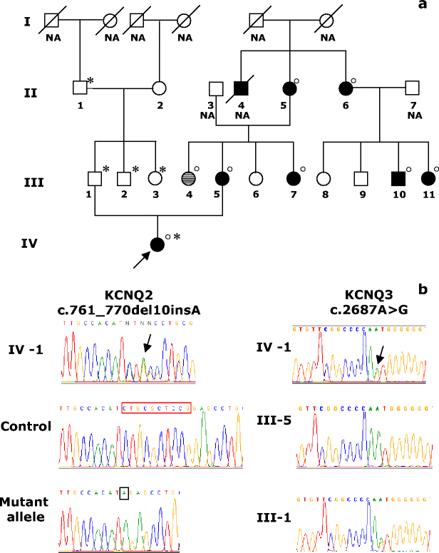 Functional analysis of novel KCNQ2 and KCNQ3 gene variants found in a ...