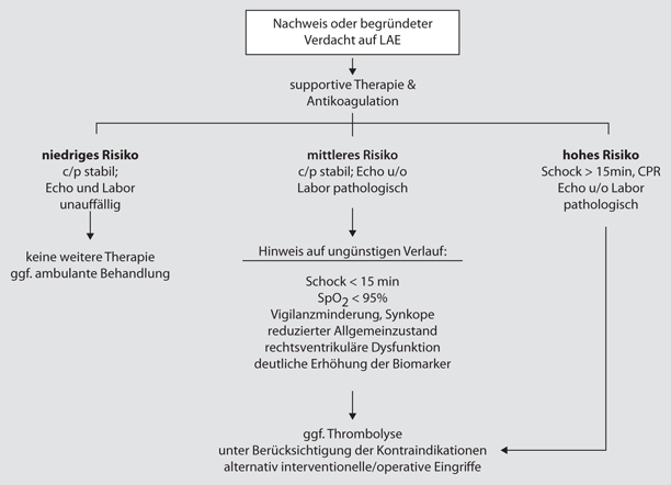 Aktuelle Diagnostik und Therapie der Lungenarterienembolie | SpringerLink