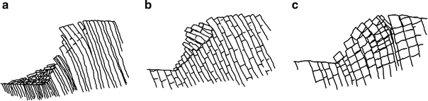 Rock toppling failure mode influenced by local response to earthquakes ...