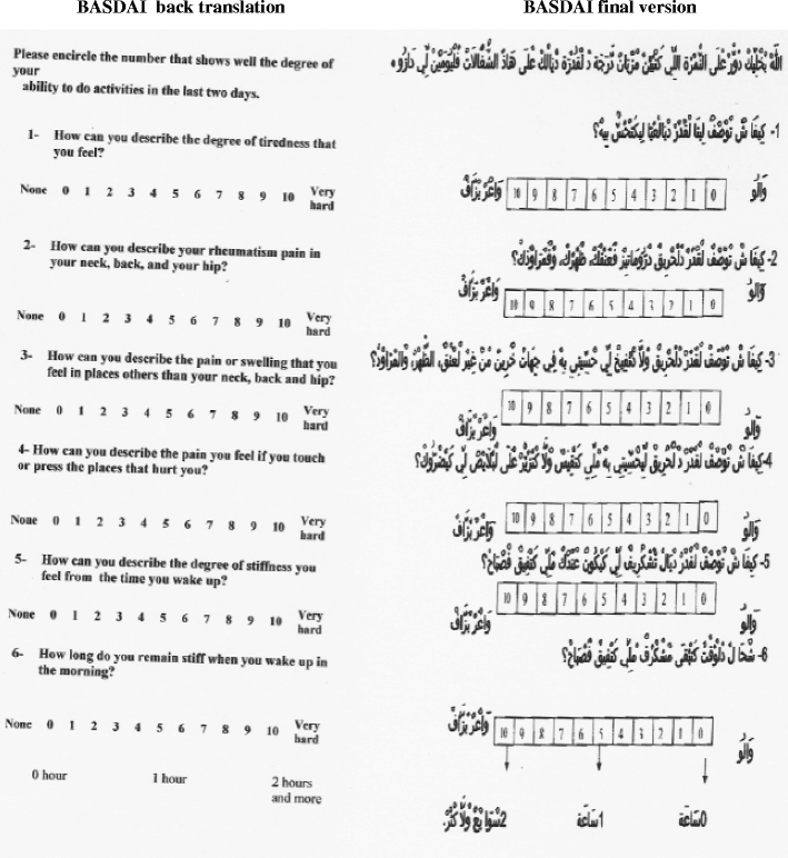 Psychometric evaluation of the Moroccan version of the Bath Ankylosing ...