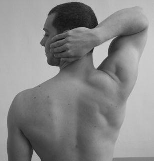 Scapular-focused treatment in patients with shoulder impingement ...