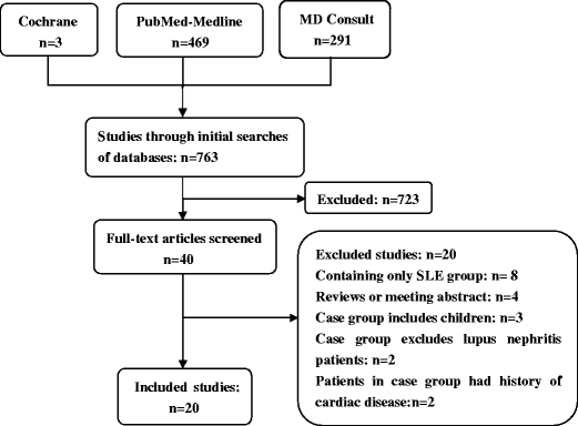 Heart involvement in systemic lupus erythematosus: a systemic review ...
