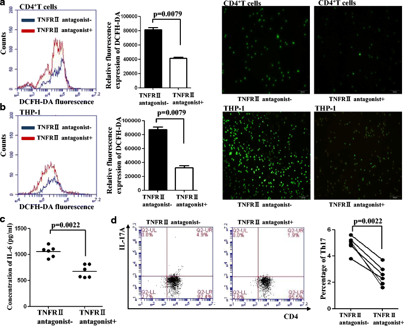 Increased IL-6 expression on THP-1 by IL-34 stimulation up-regulated ...