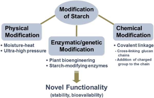 Properties and applications of starch modifying enzymes for use in the ...