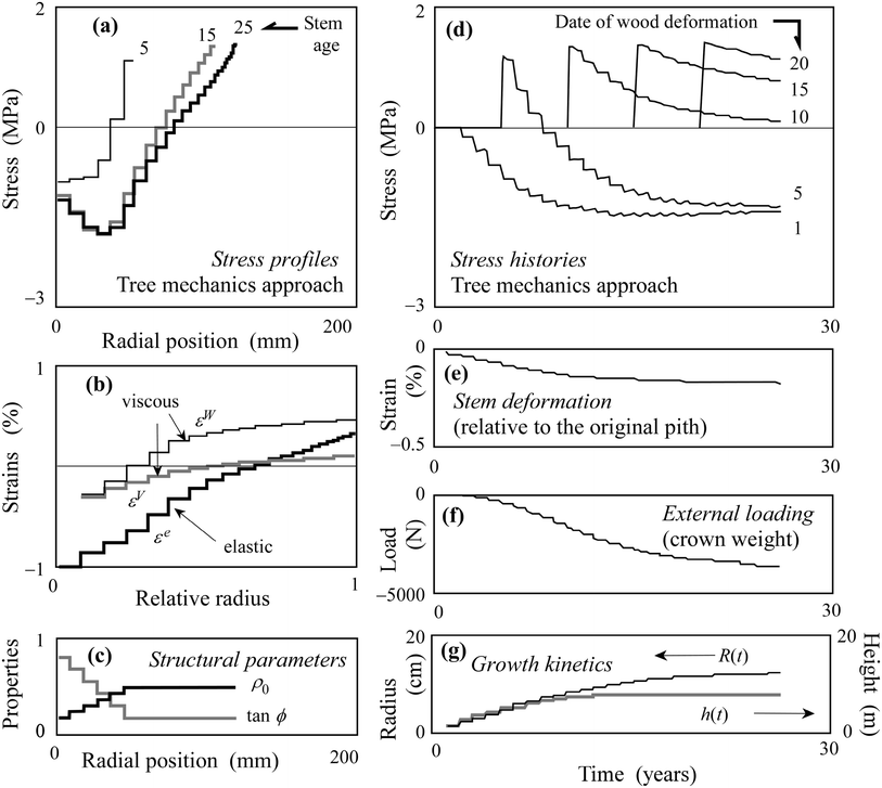 Tree growth stress and related problems | SpringerLink