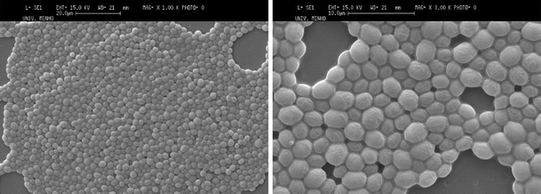 Candida glabrata: a review of its features and resistance | SpringerLink