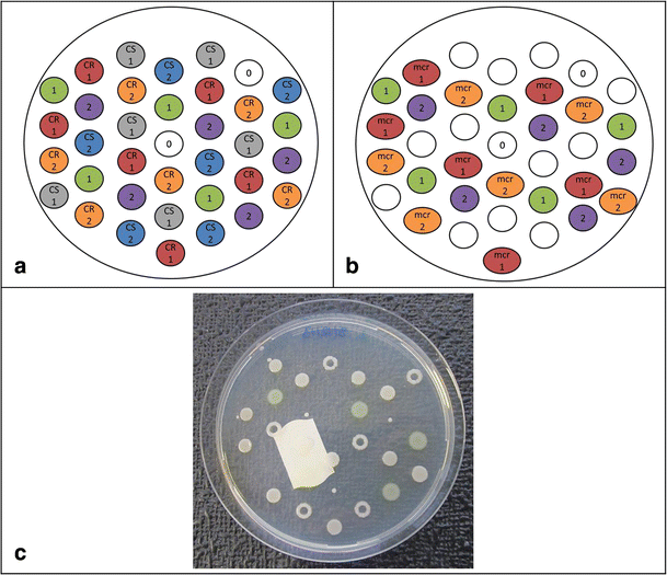 Evaluation of colistin stability in agar and comparison of four methods ...