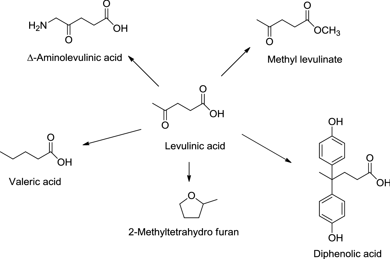 An overview of biorefinery-derived platform chemicals from a cellulose ...