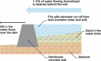 The potential for sand dams to increase the adaptive capacity of East ...