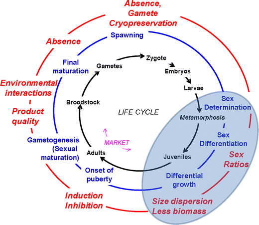 Genomic Approaches to Study Genetic and Environmental Influences on ...