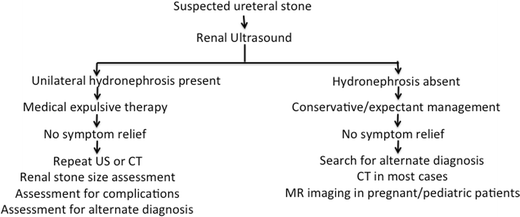 Imaging of flank pain: readdressing state-of-the-art | SpringerLink
