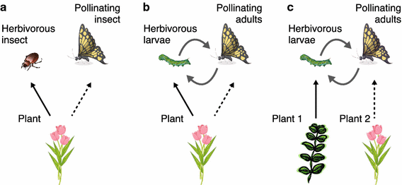 Ontogenetic niche shifts matter in community ecology: a review and ...