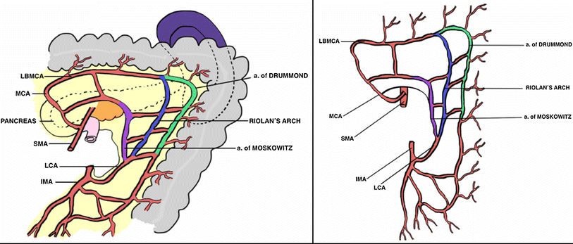 Importance of the Moskowitz artery in the laparoscopic medial approach ...