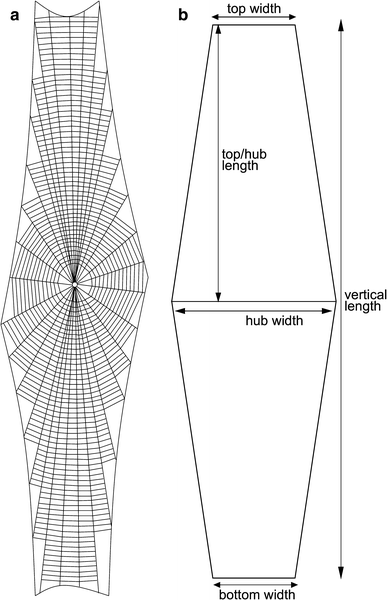 Elongated orb-webs of Australian ladder-web spiders (Araneidae ...