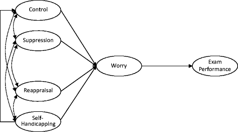 An examination of the self-referent executive processing model of test ...