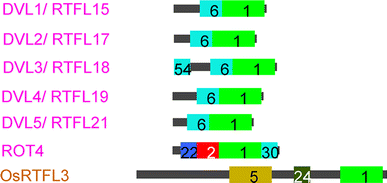 Comparative analysis of the RTFL peptide family on the control of plant ...