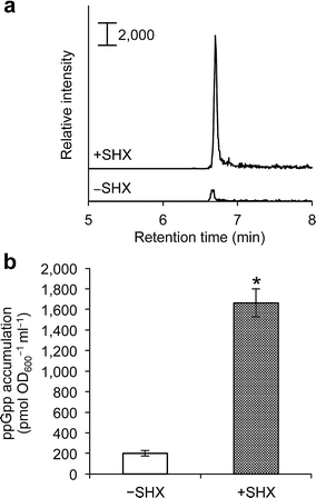 A highly sensitive quantification method for the accumulation of ...