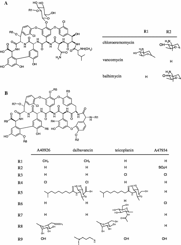 Understanding and manipulating glycopeptide pathways: the example of ...