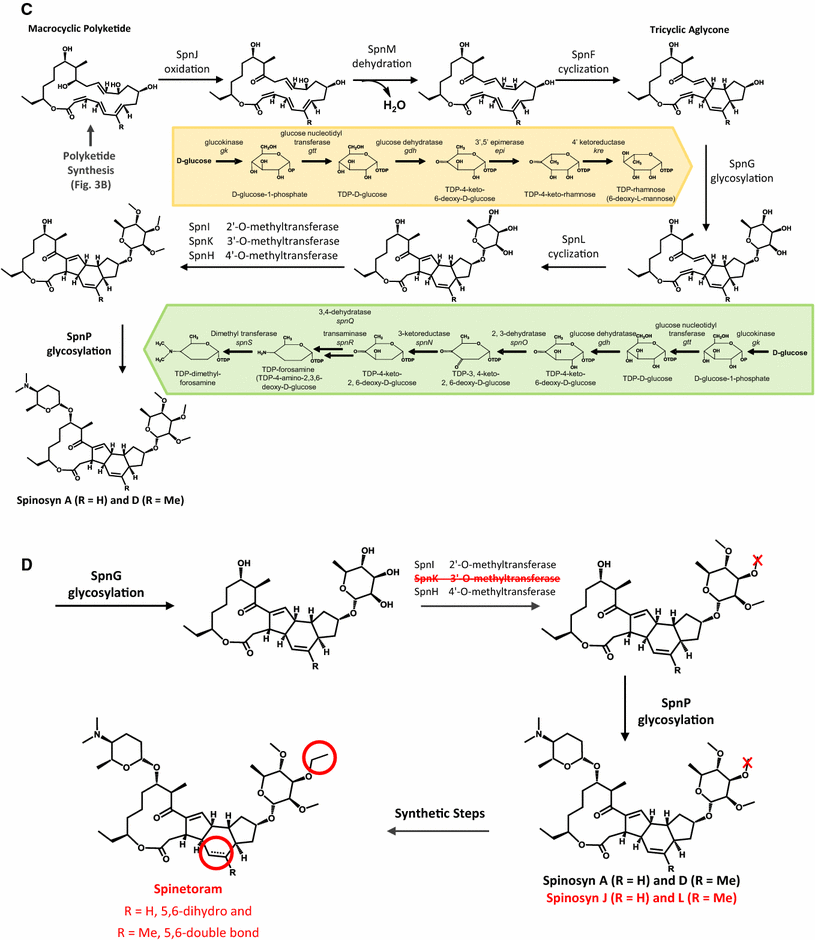 Natural product derived insecticides: discovery and development of ...