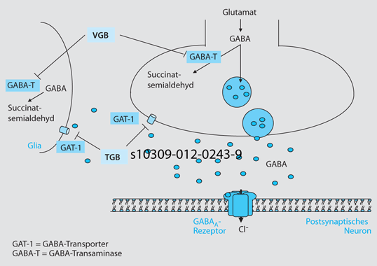Wirkungsmechanismen von Antiepileptika | SpringerLink