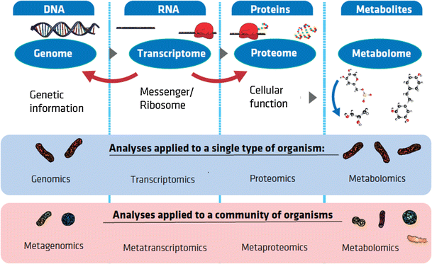 Molecular microbiology methods for environmental diagnosis | SpringerLink