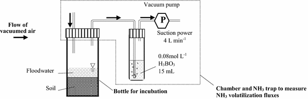 Ammonia volatilization from Vietnamese acid sulfate paddy soil ...