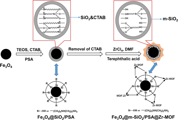 Synthesis of Fe3O4@m-SiO2/PSA@Zr-MOF Nanocomposites for Bifenthrin ...