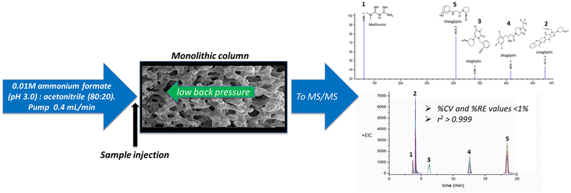 Development and Validation of LC–MS/MS Method for Simultaneous Determination of Metformin and ...
