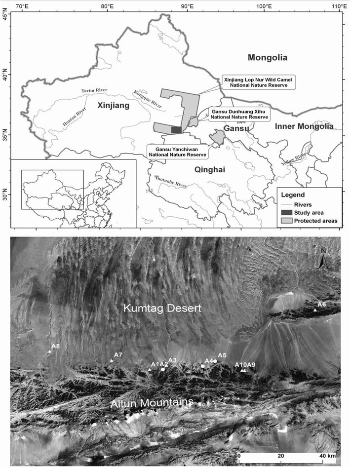 Records of the dhole ( Cuon alpinus) in an arid region of the Altun ...