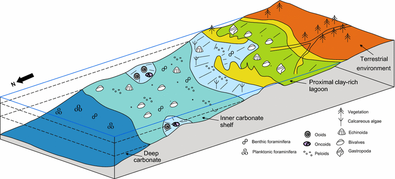 Integrated microfossil biostratigraphy, facies distribution, and ...