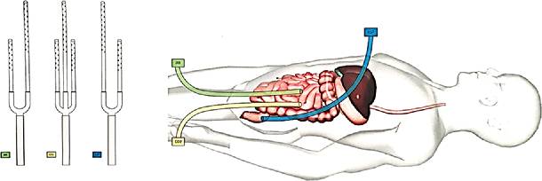 Laparoscopic gastrectomy and adjuvant hyperthermic intraperitoneal ...