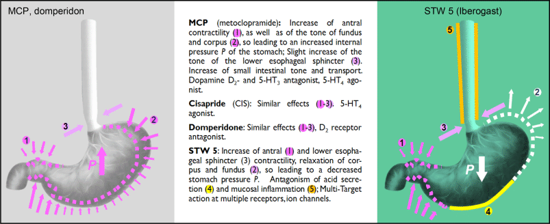 Modulation of gastrointestinal motility beyond metoclopramide and ...