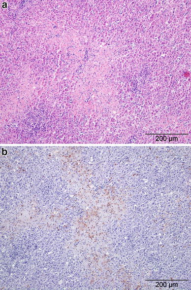 Chlamydiosis in British Garden Birds (2005–2011): Retrospective ...