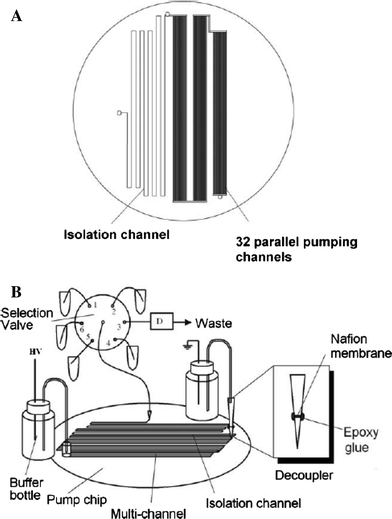 Electroosmotic pumps and their applications in microfluidic systems ...