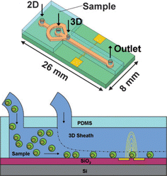 Particle focusing in microfluidic devices | SpringerLink