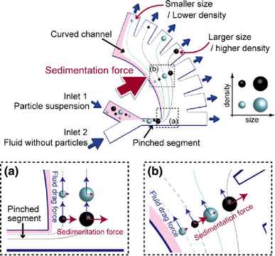 Sedimentation pinched-flow fractionation for size- and density-based particle sorting in ...