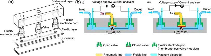 Modular membrane valves for universal integration within thermoplastic ...