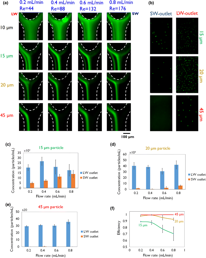 Inertial particle focusing dynamics in a trapezoidal straight microchannel: application to ...