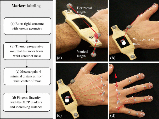 Finger Kinematic Modeling and Real-Time Hand Motion Estimation ...
