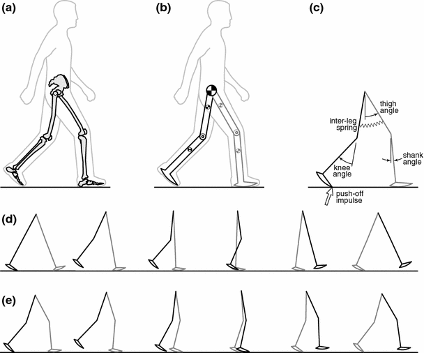 How Crouch Gait Can Dynamically Induce Stiff-Knee Gait | SpringerLink