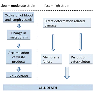Pressure Induced Deep Tissue Injury Explained | SpringerLink
